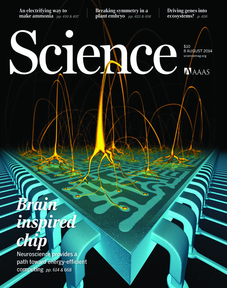 Dharmendra S. Modha – My Work and Thoughts.